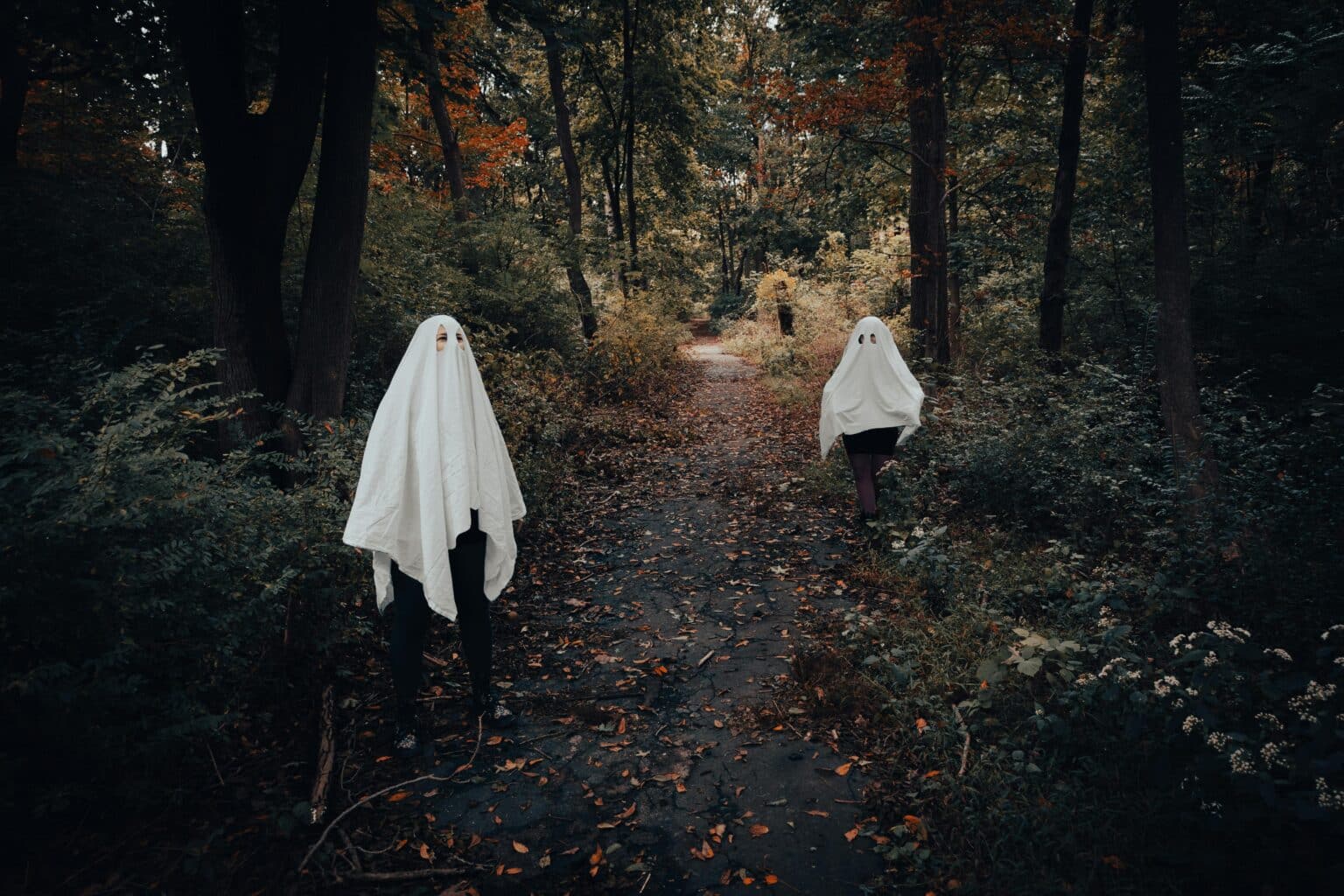 Preskúmajte paranormálne javy: 2 základné aplikácie - Fine-Door Blog